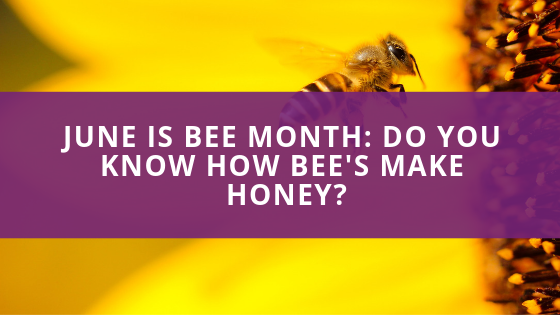June is Bee Month: Do you Know How Bee's Make Honey?